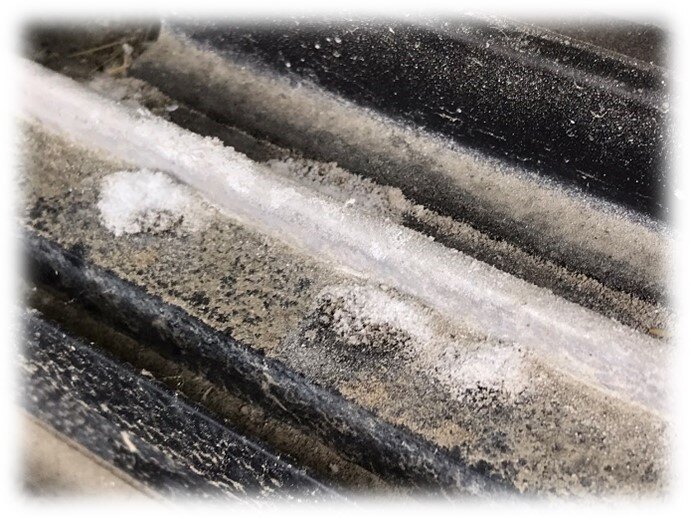 How to Care for Coastal Properties? Effects of Salt, Sand, Wind and ...