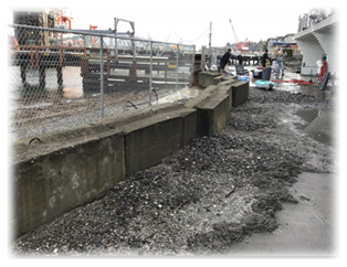 How to Care for Coastal Properties? Effects of Salt, Sand, Wind and ...